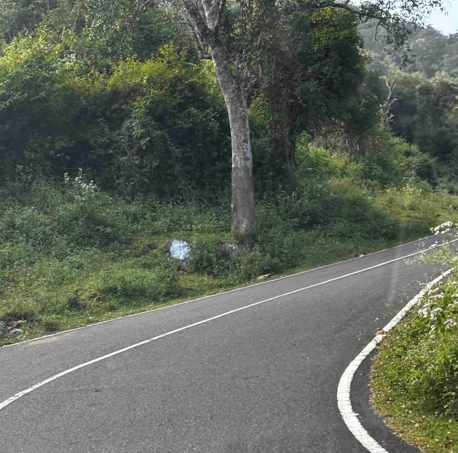 Kerala to get 31 new road projects worth Rs 50,000 crore - Construction ...